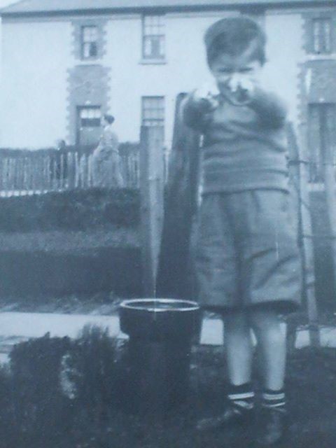 Cochran Family Tree. – Historic Hamilton