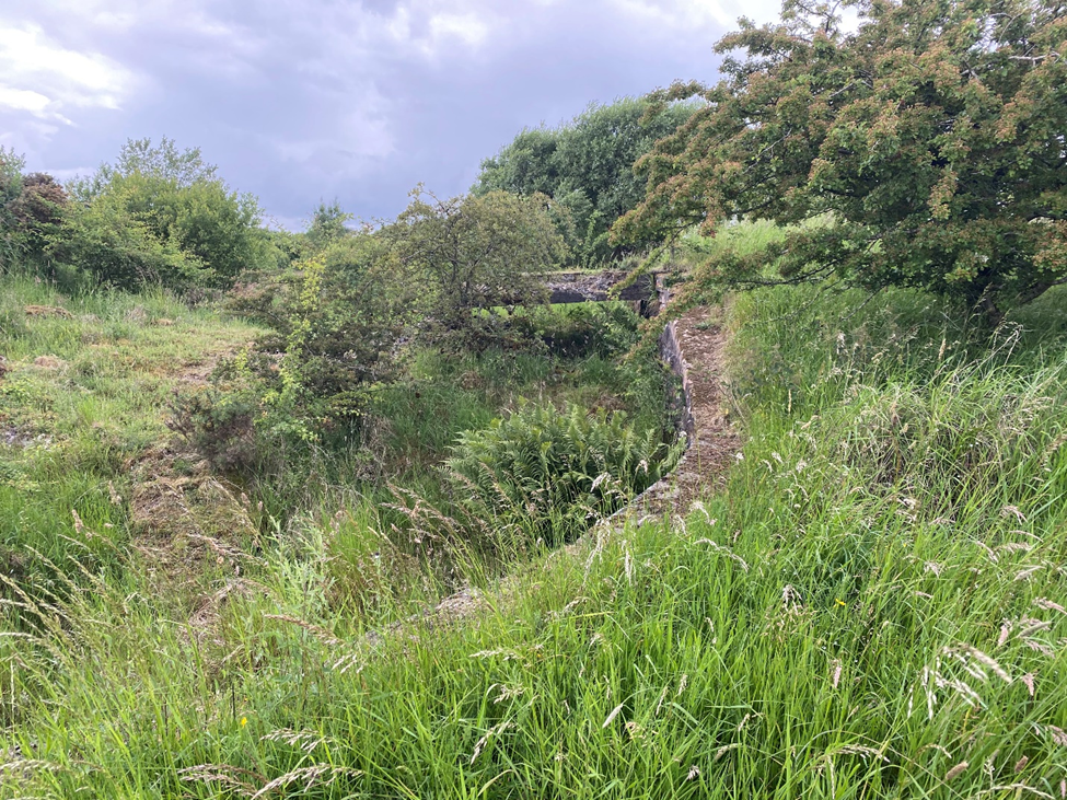 THE HAMILTON WATERWORKS. – Historic Hamilton