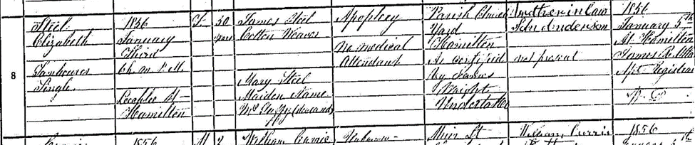 THE HAMILTON WATERWORKS. – Historic Hamilton